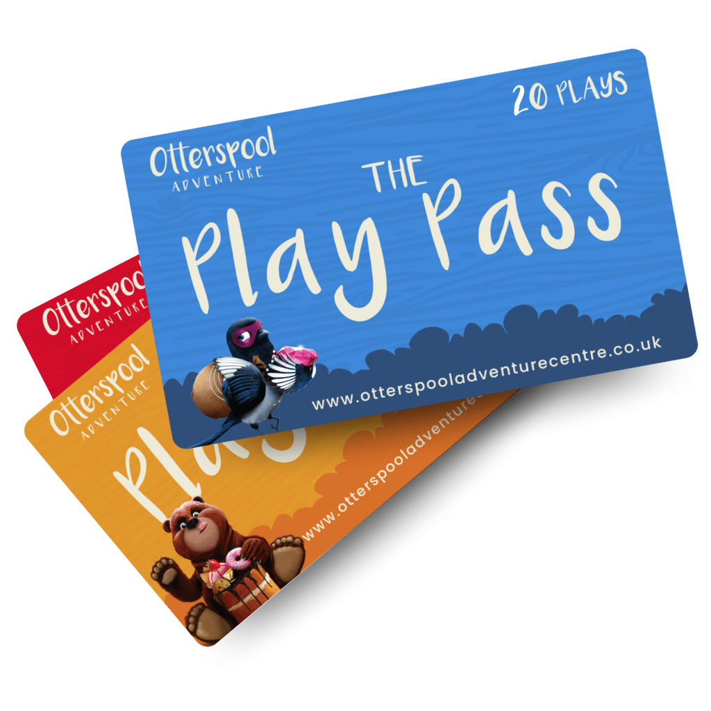 Otterspool Adventure | Events