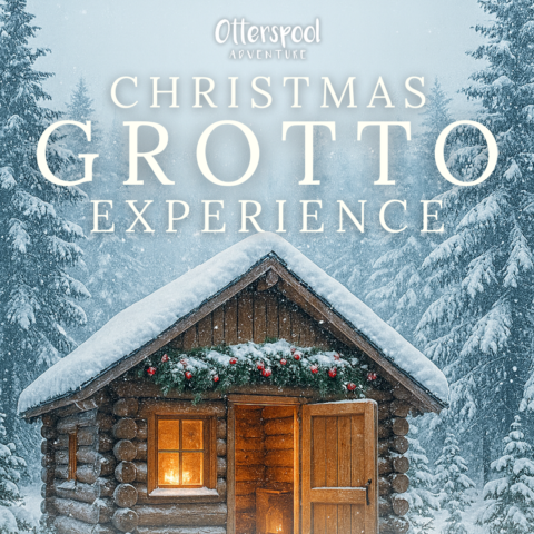 Otterspool Adventure | Events